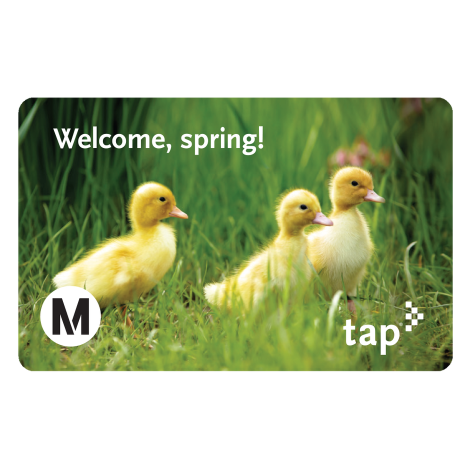 Collector's TAP Cards – Metro Shop